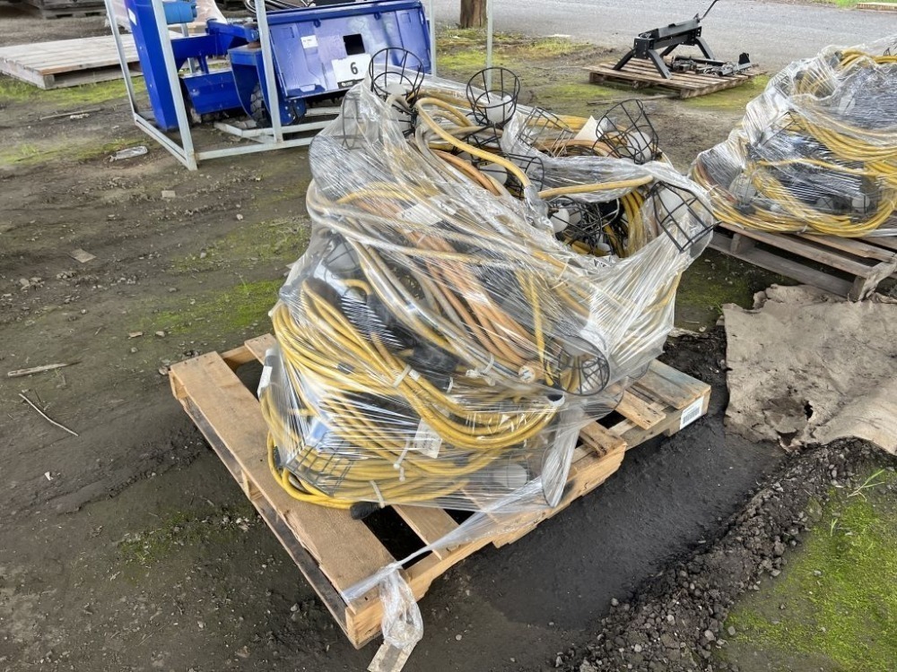 String Lights | J. Stout Auction