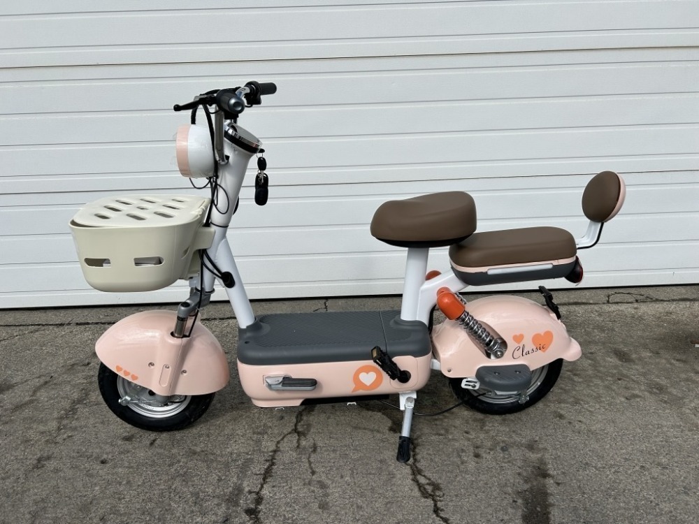 2024 Raccoon RC-G1.5 Electric Scooter | J. Stout Auction