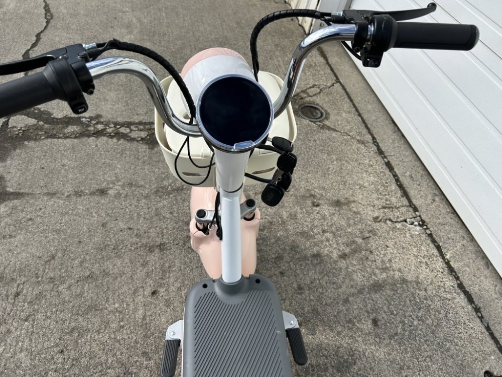 2024 Raccoon RC-G1.5 Electric Scooter | J. Stout Auction