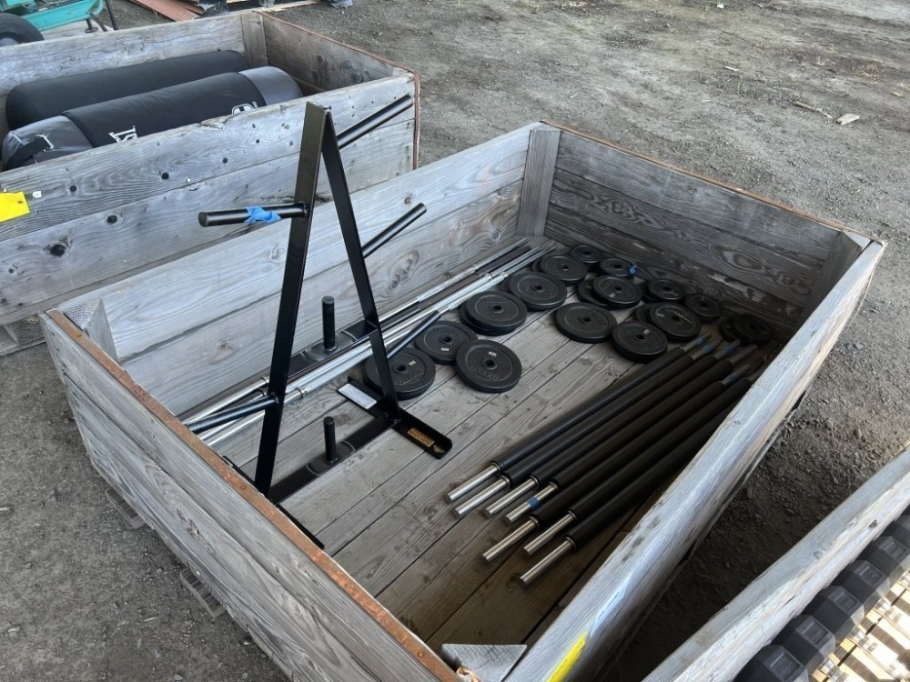 Ivanko Weight Plates & Body Solid Rack | J. Stout Auction