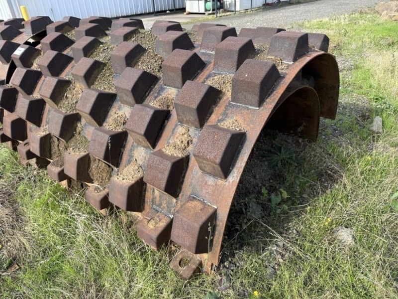 84 Pad Foot Shell | J. Stout Auction